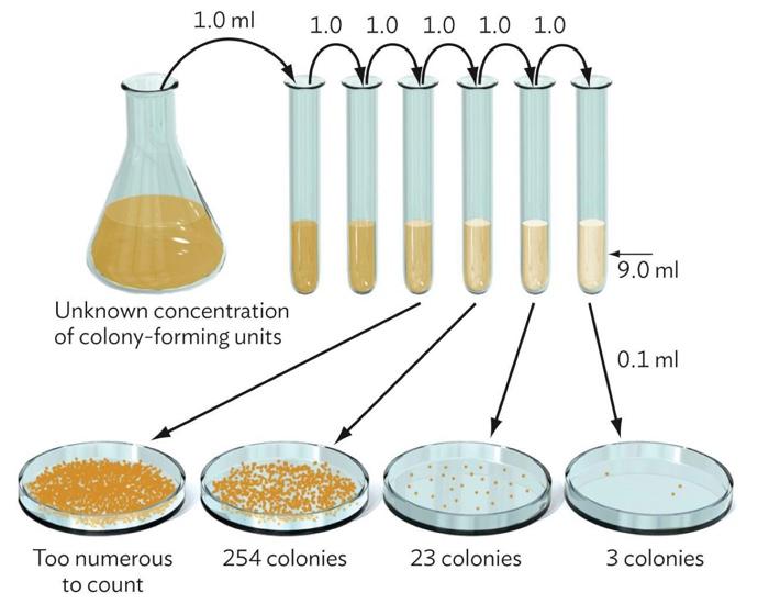 Solved please write in full details and explain an justify | Chegg.com