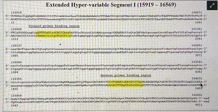Solved Extended Hyper-variable Segment I (15919-16569) | Chegg.com