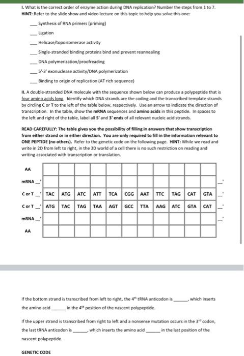 Solved 1. What is the correct order of enzyme action during | Chegg.com