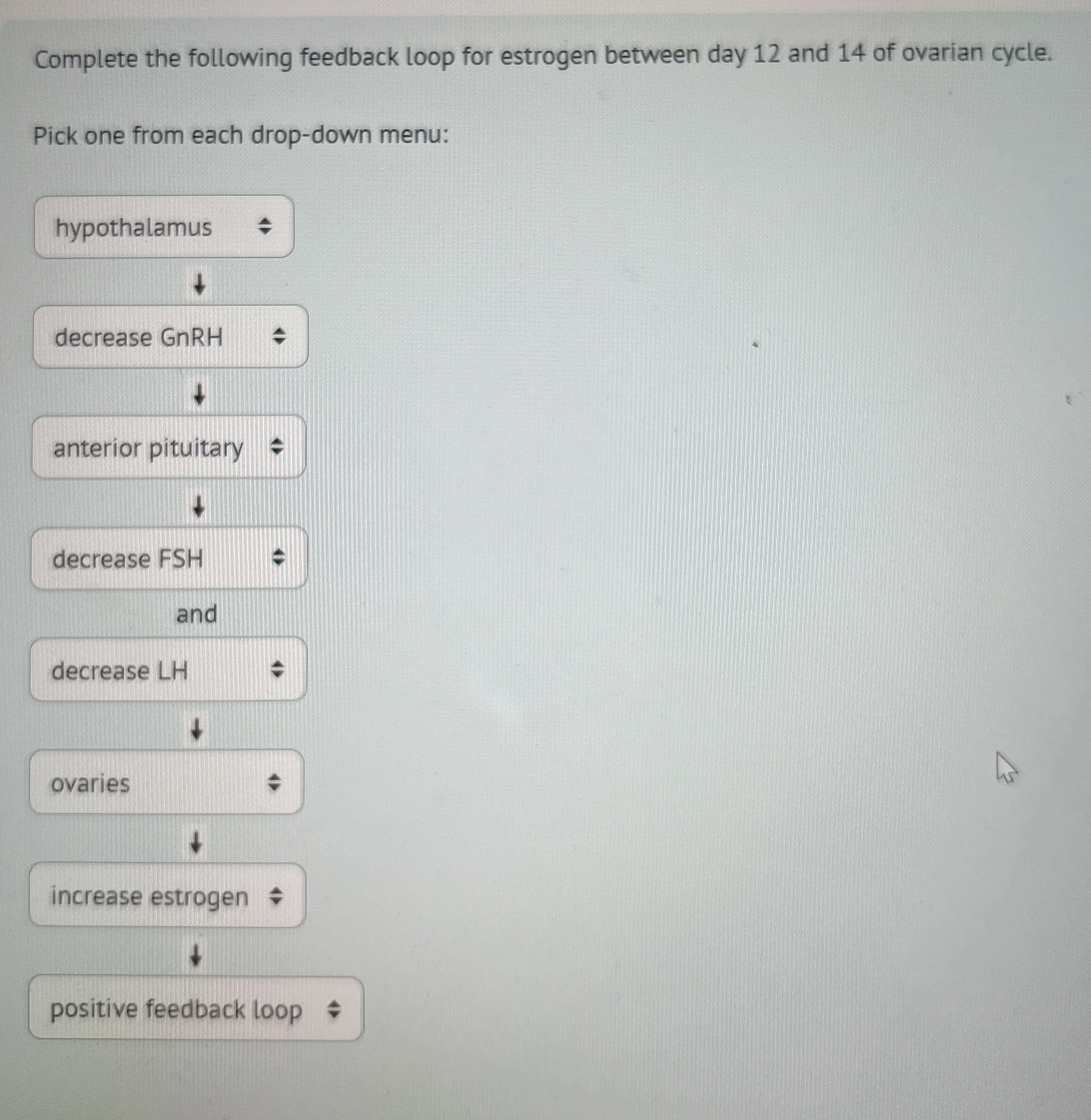 Solved Complete the following feedback loop for estrogen | Chegg.com