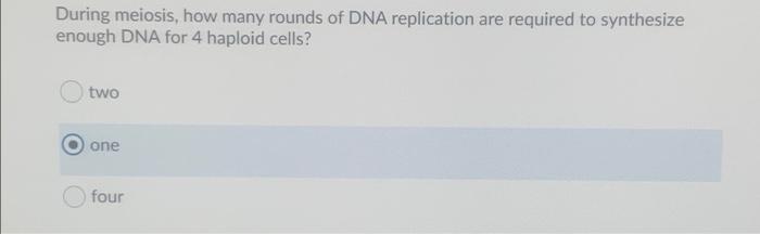 Solved During meiosis, how many rounds of DNA replication | Chegg.com