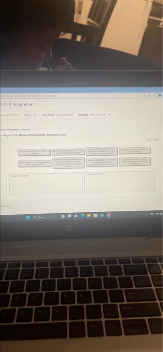 Solved 56676/assignments/20332710?module_item_id=44526402 | Chegg.com
