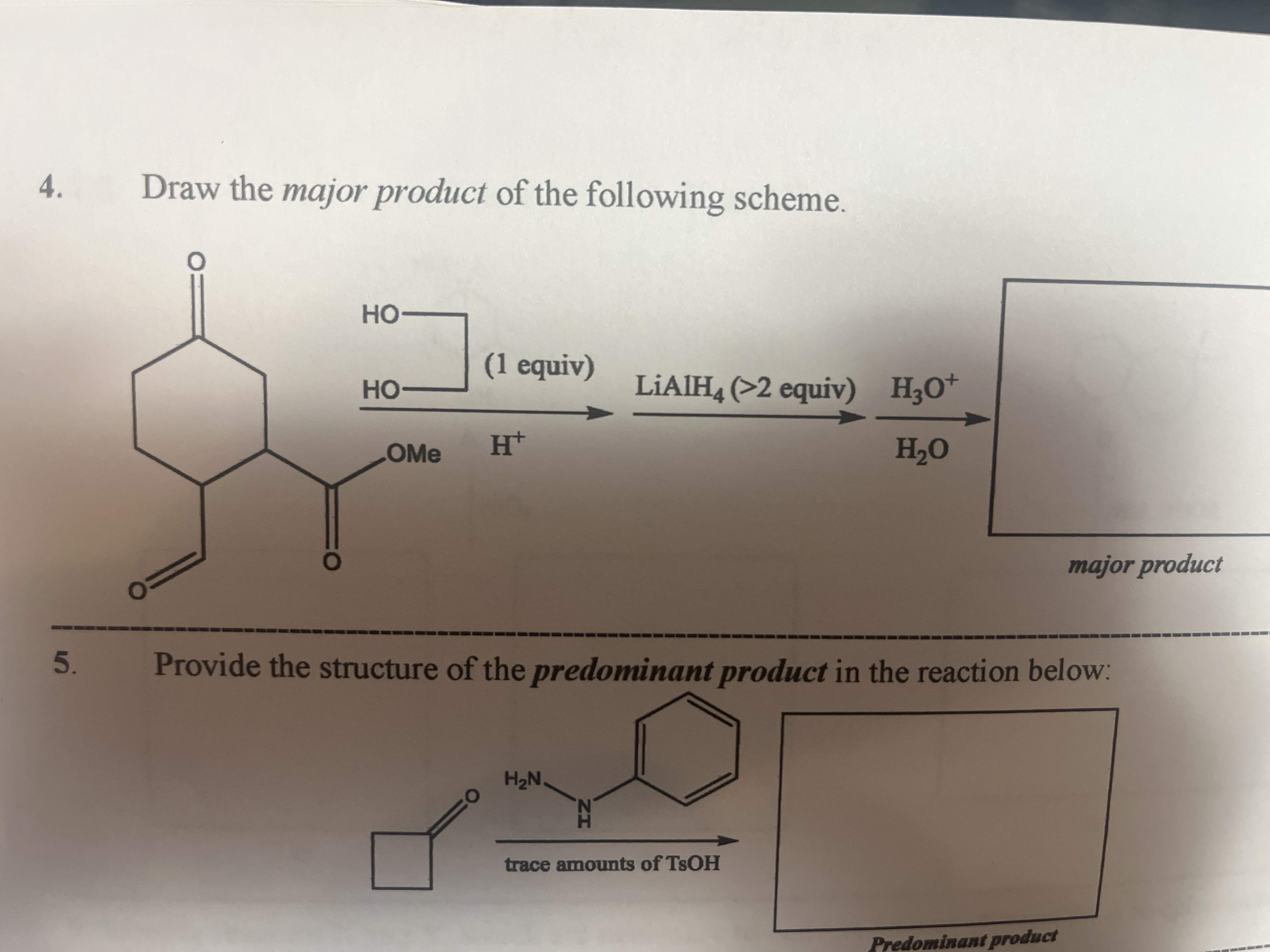 Solved draw the major product of the following shceme | Chegg.com