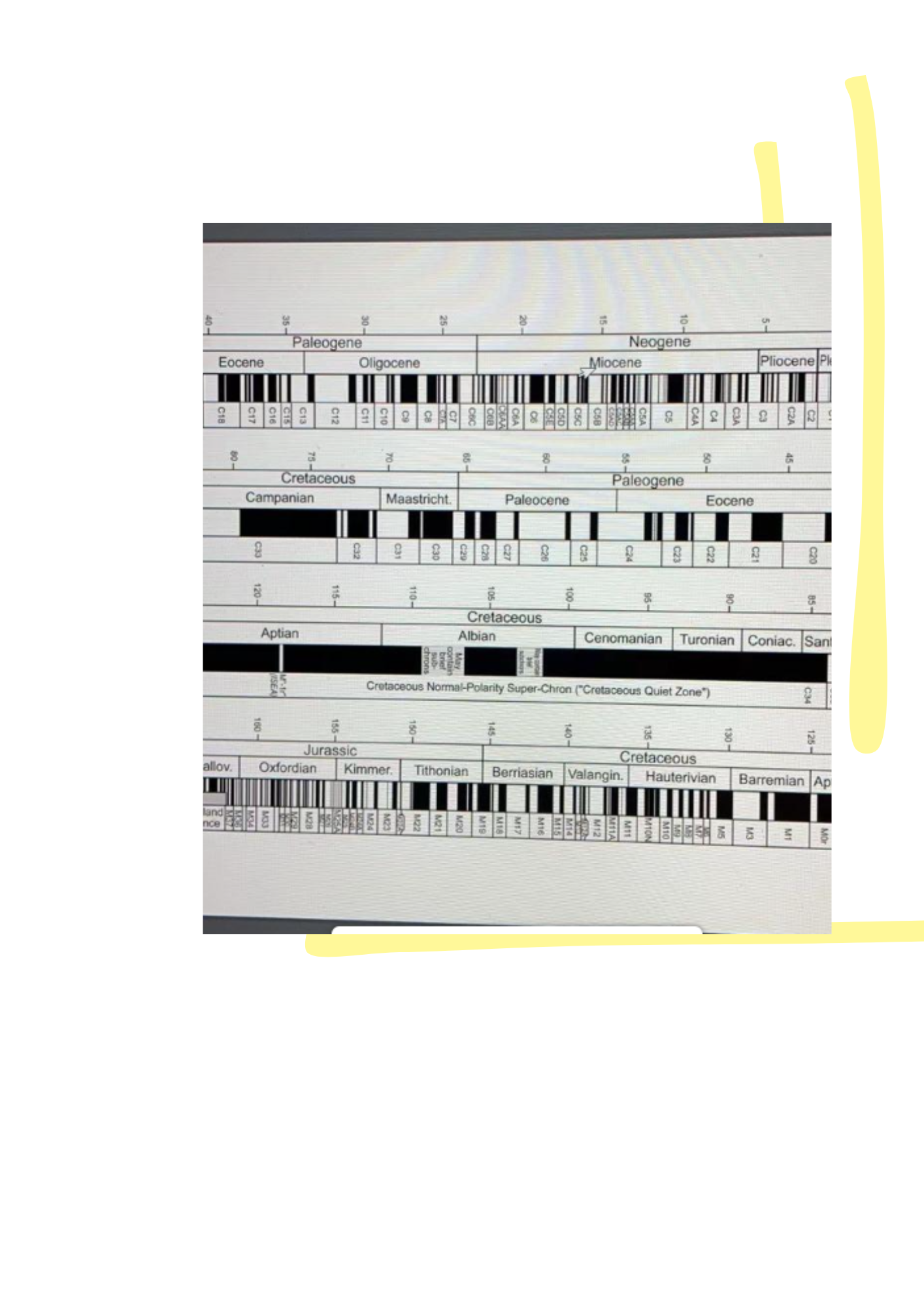 PLease Solve the question asap. Would really | Chegg.com