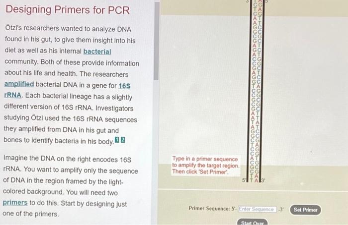 Solved Type in a primer sequence to amplify the target | Chegg.com