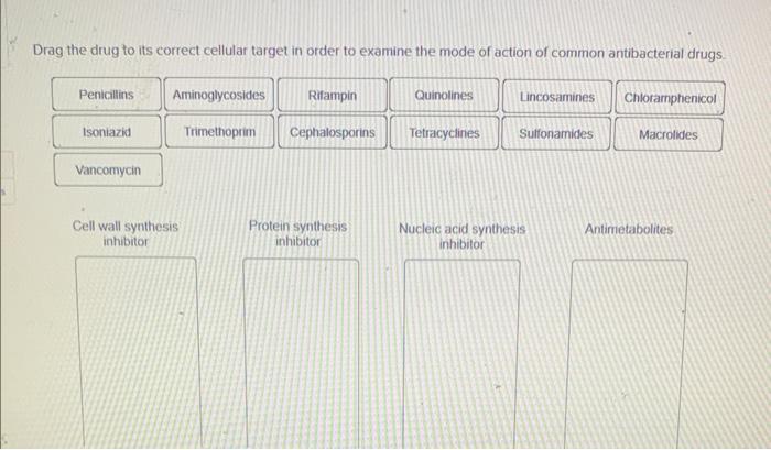 Solved Drag the drug to its correct cellular target in order | Chegg.com