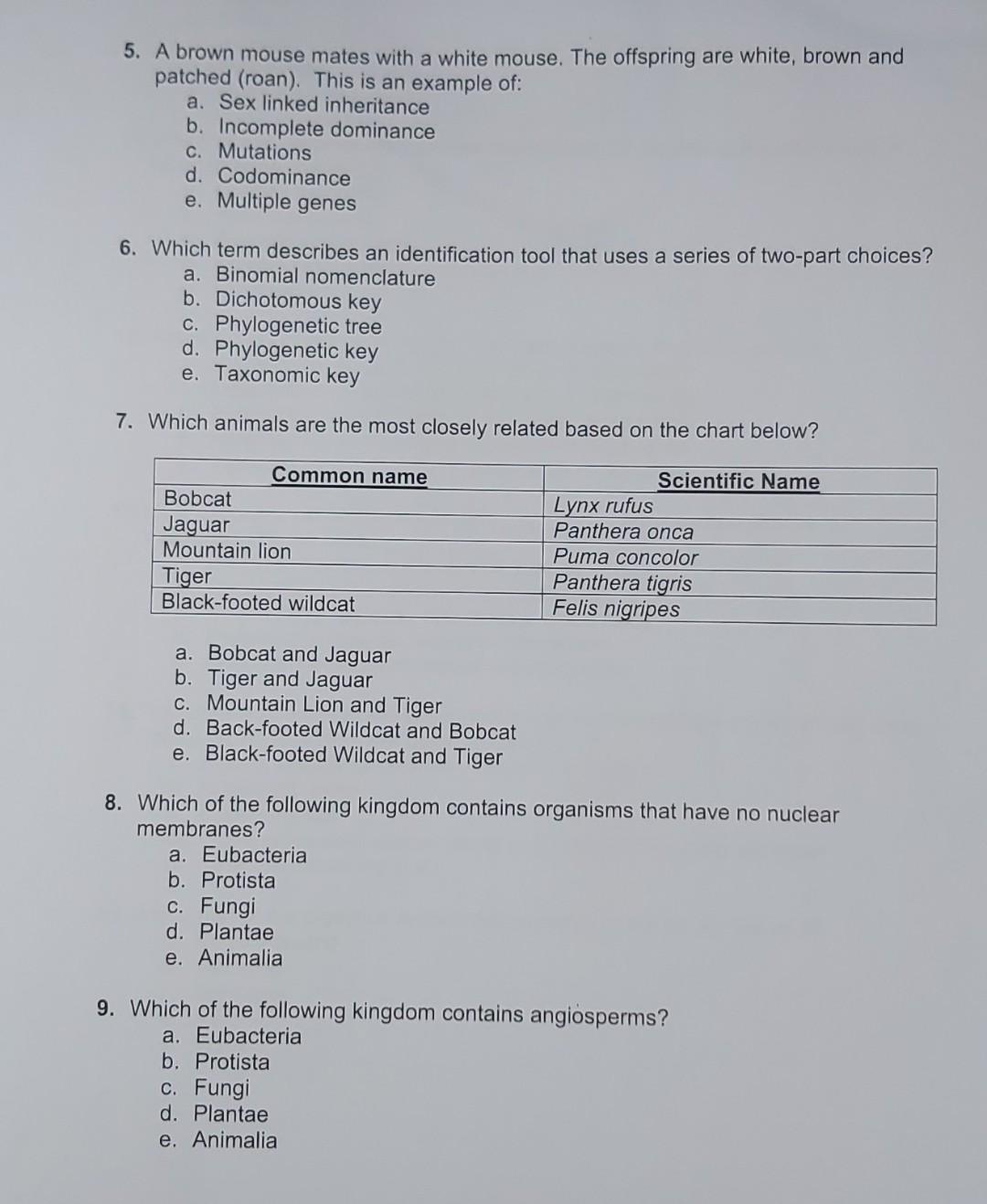 Solved 5. A brown mouse mates with a white mouse. The | Chegg.com