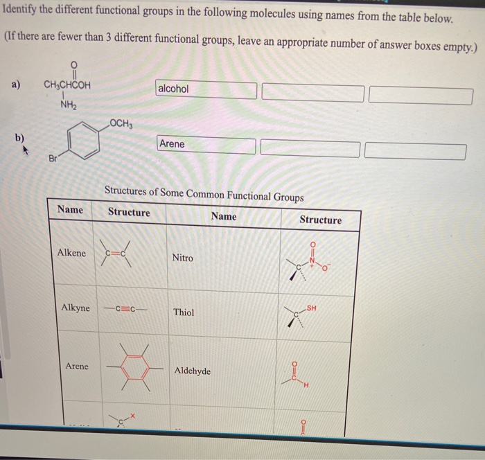Solved Identify the different functional groups in the | Chegg.com