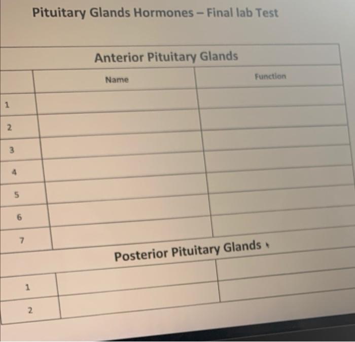 Solved Pituitary Glands Hormones - Final lab Test Anterior | Chegg.com