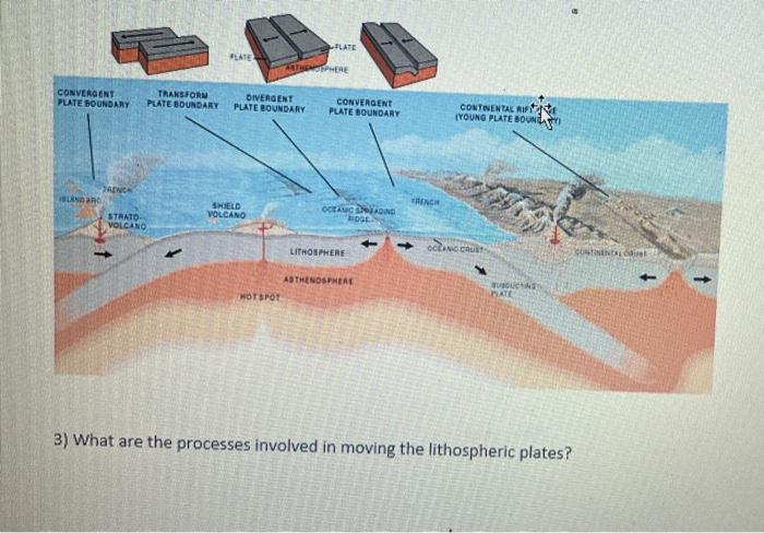 Solved 3) What are the processes involved in moving the | Chegg.com