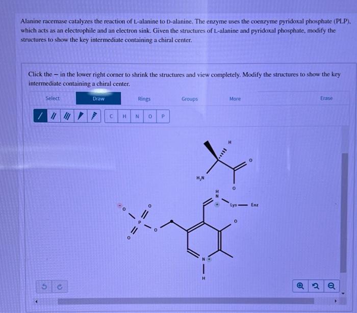 Solved Alanine racemase catalyzes the reaction of L-alanine | Chegg.com