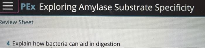 Solved Reset Activity PEx Exploring Amylase Substrate | Chegg.com