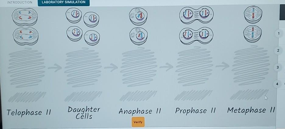 Solved INTRODUCTION LABORATORY SIMULATION Dans) De 1 2 3 | Chegg.com