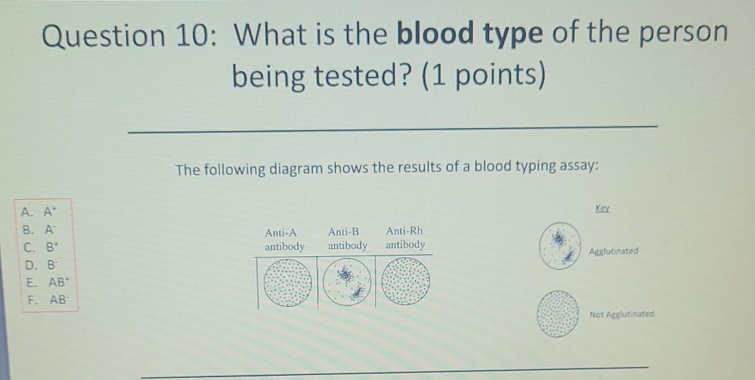 Solved Question 9: What is the blood type of the person | Chegg.com