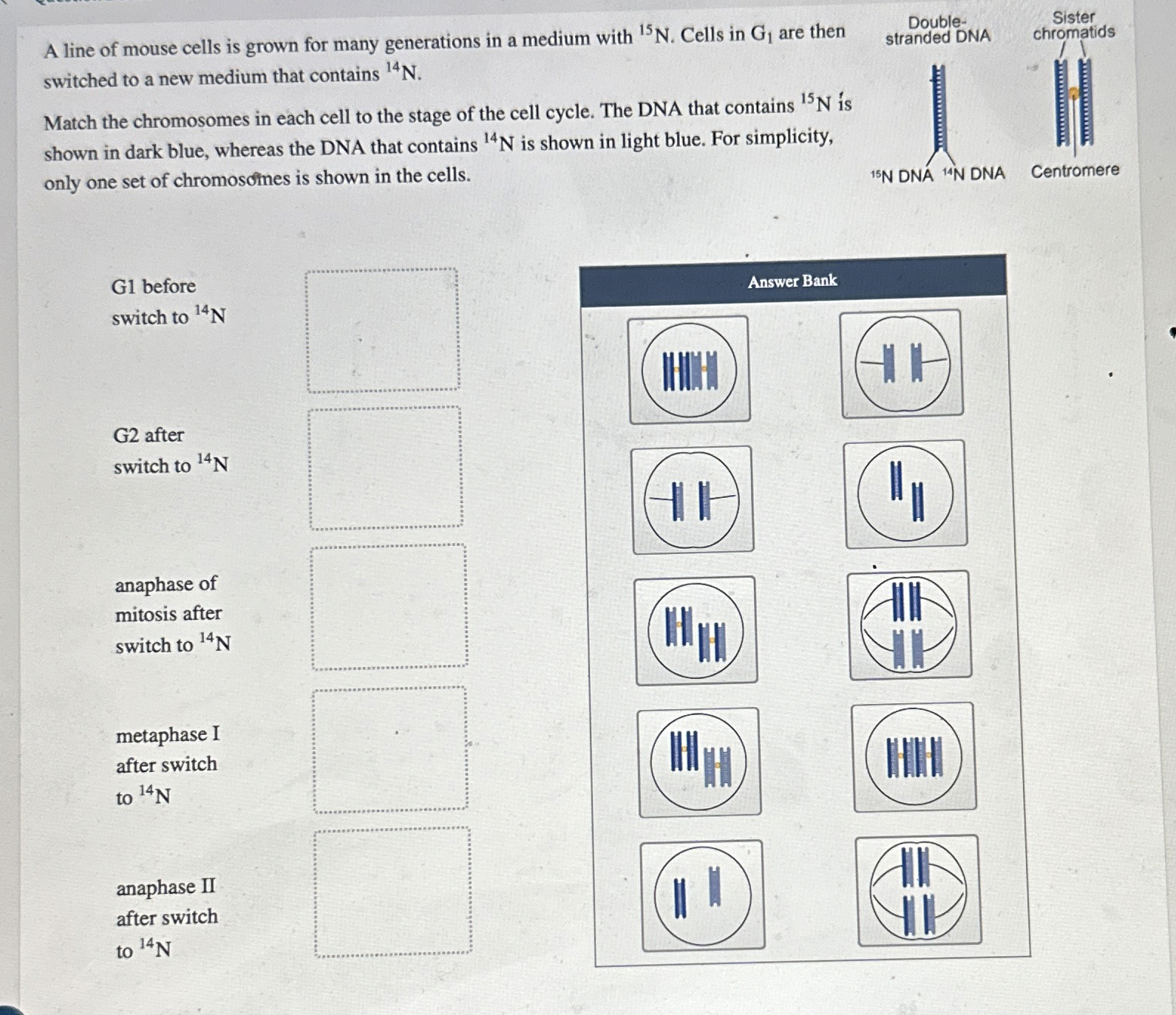 Solved A line of mouse cells is grown for many generations | Chegg.com