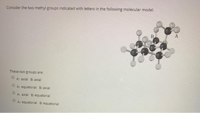 Solved Consider the two methyl groups indicated with letters | Chegg.com
