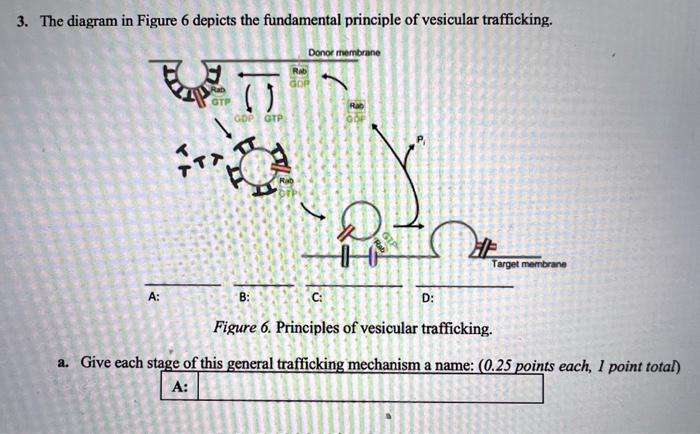 Solved 3. The diagram in Figure 6 depicts the fundamental | Chegg.com