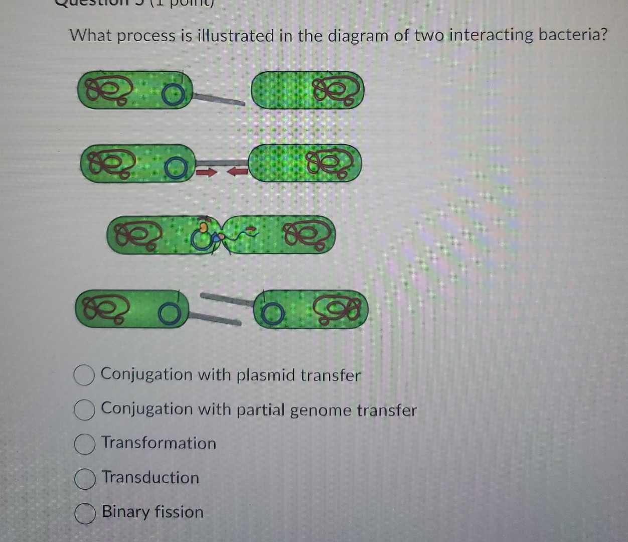Solved What process is illustrated in the diagram of two | Chegg.com