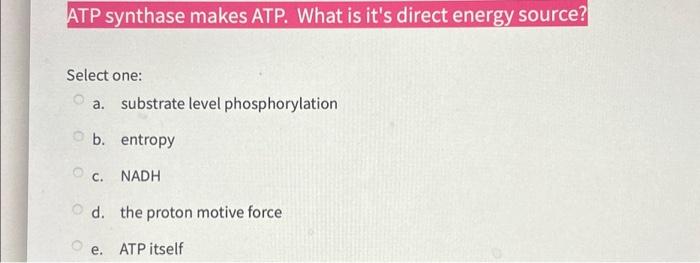 Solved ATP synthase makes ATP. What is it's direct energy | Chegg.com