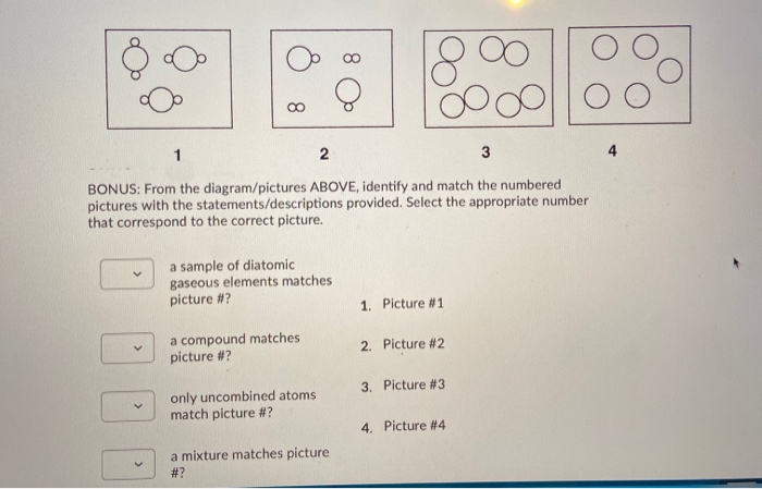 Solved 1 2 3 BONUS: From the diagram/pictures ABOVE, | Chegg.com