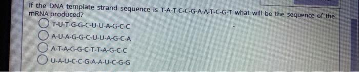 Solved A particular triplet of bases in the coding (non | Chegg.com