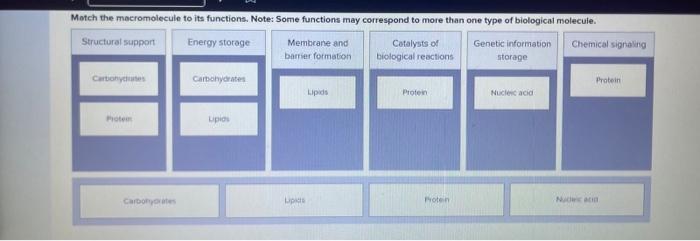 Solved Match the macromolecule to its functions. Note: Some | Chegg.com