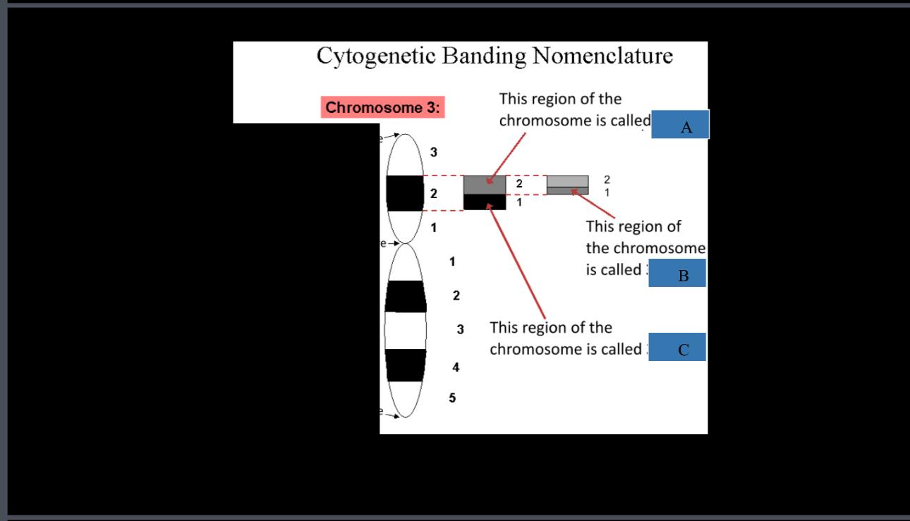 Solved Cytogenetic Banding NomenclatureChromosome 3:This | Chegg.com
