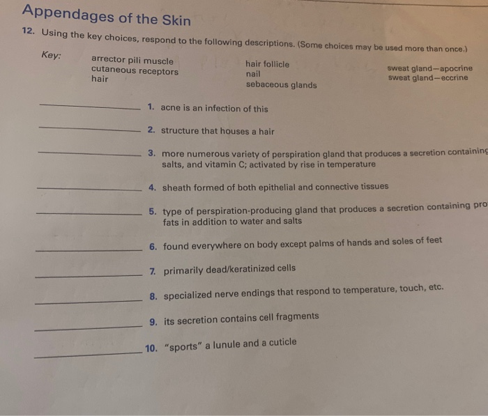 Solved Appendages of the Skin 12. Using the key choices, | Chegg.com