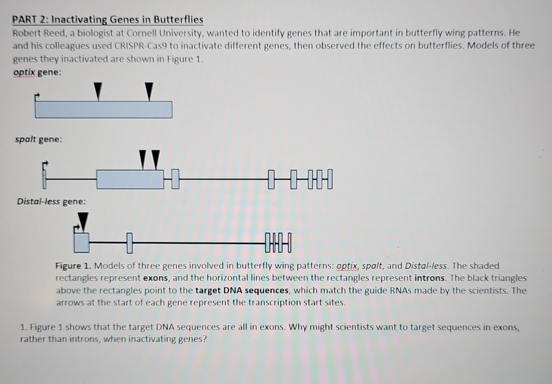 Solved PART 2: Inactivating Genes in ButterfliesRobert Reed, | Chegg.com