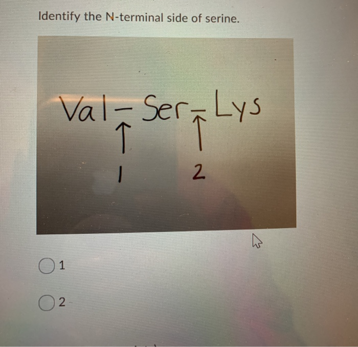 Solved Identify the N-terminal side of serine. Val-Ser Lys | Chegg.com
