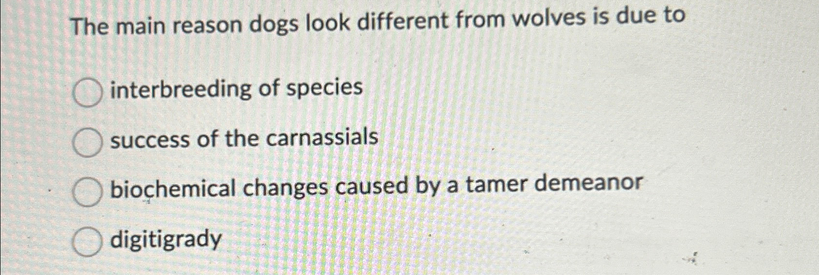 Solved The main reason dogs look different from wolves is | Chegg.com