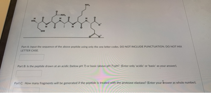 Solved он Part A: Input the sequence of the above peptide | Chegg.com