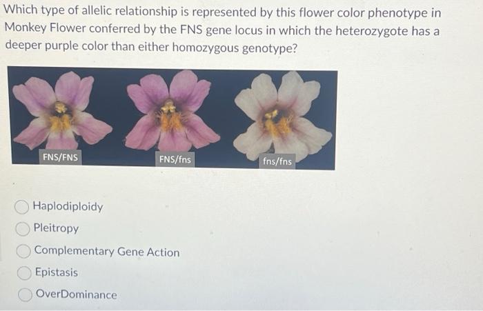 Solved Which type of allelic relationship is represented by | Chegg.com