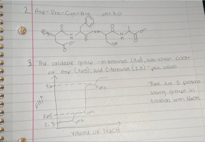Solved please answer questions 4 A-C using the answers from | Chegg.com