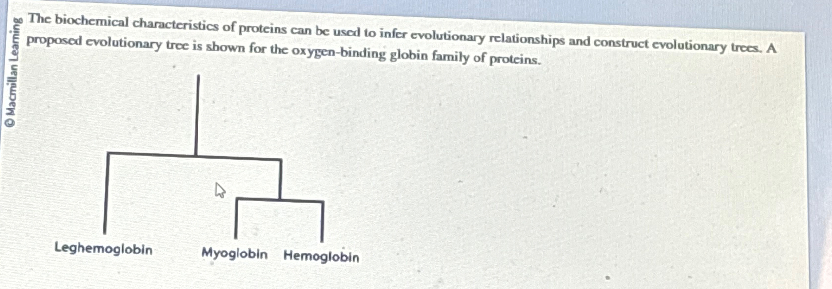 Solved The biochemical characteristics of proteins can be | Chegg.com