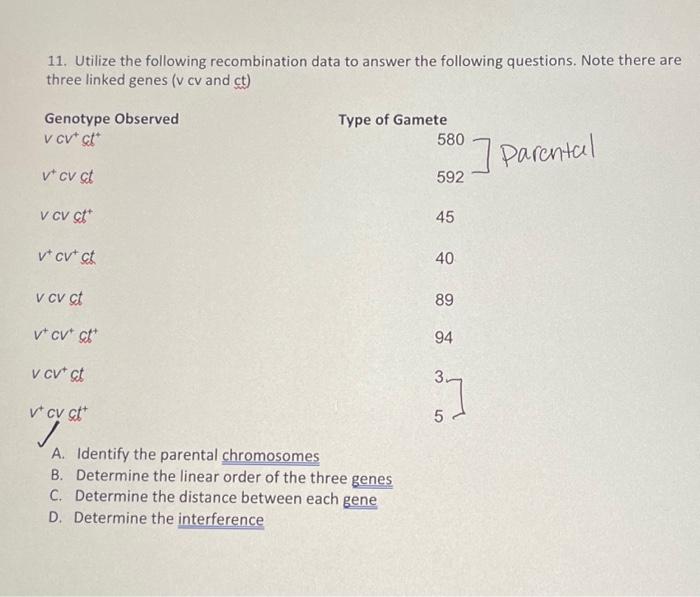 Solved answer all please | Chegg.com