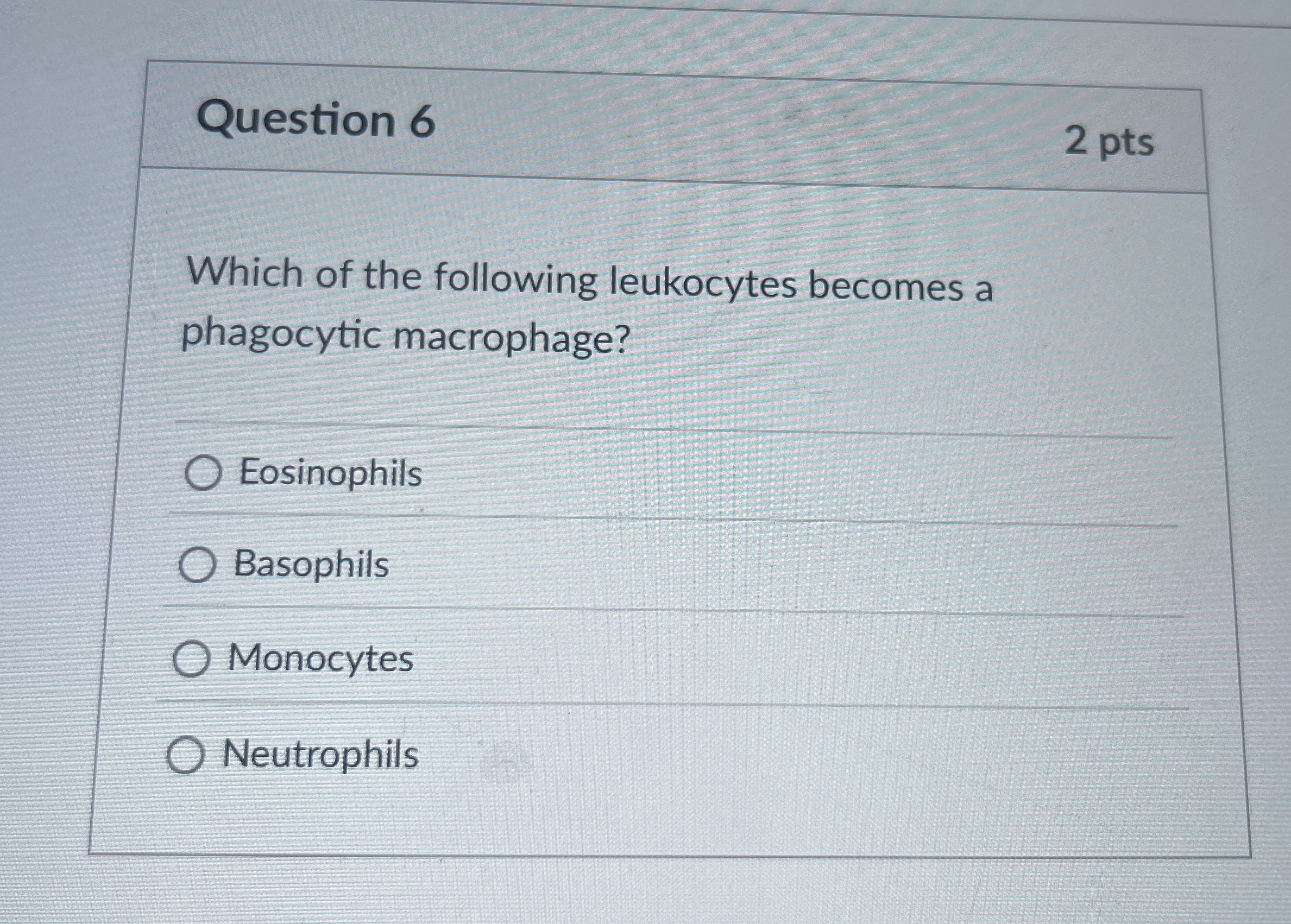 Solved Question 62 ptsWhich of the following leukocytes | Chegg.com Solved Question 62 ptsWhich of the following leukocytes | Chegg.com
