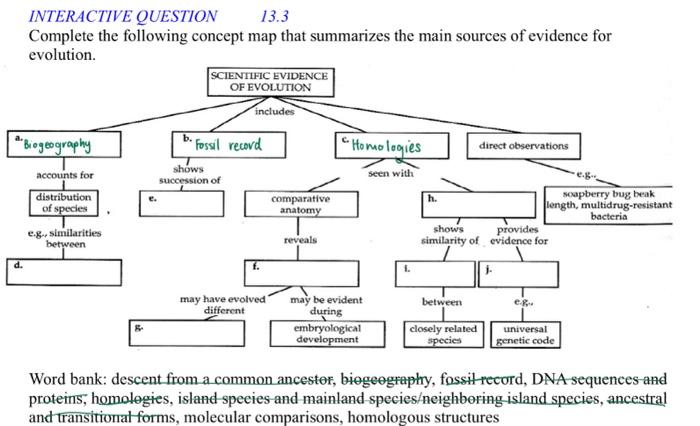 Solved INTERACTIVE QUESTION 13.3 Complete the following | Chegg.com