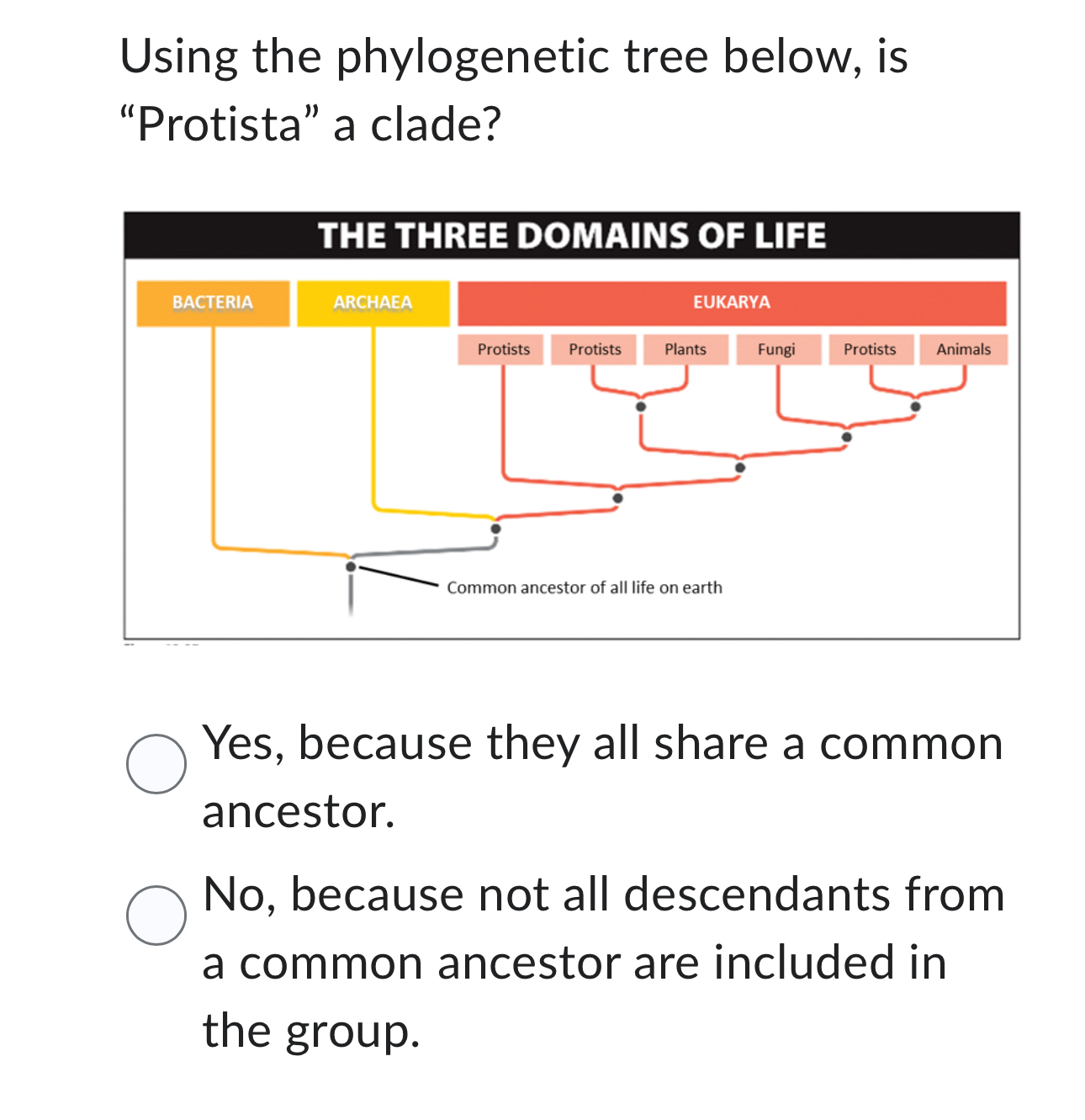 Solved Using the phylogenetic tree below, is "Protista" a | Chegg.com