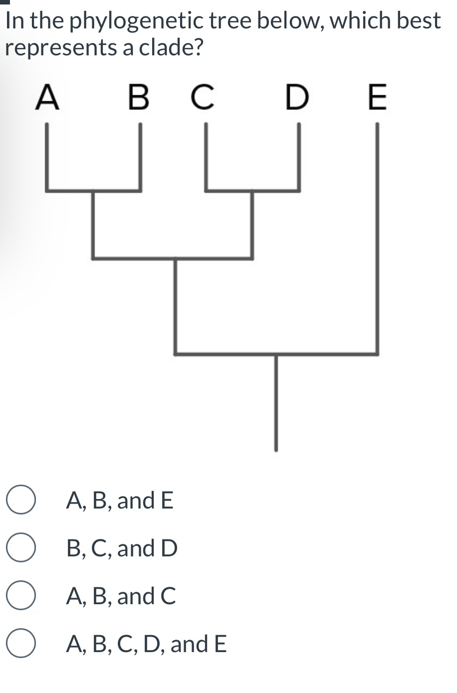 Solved In the phylogenetic tree below, which best represents | Chegg.com