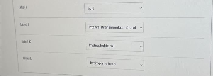 Solved label A label B label C label D label E label F label | Chegg.com