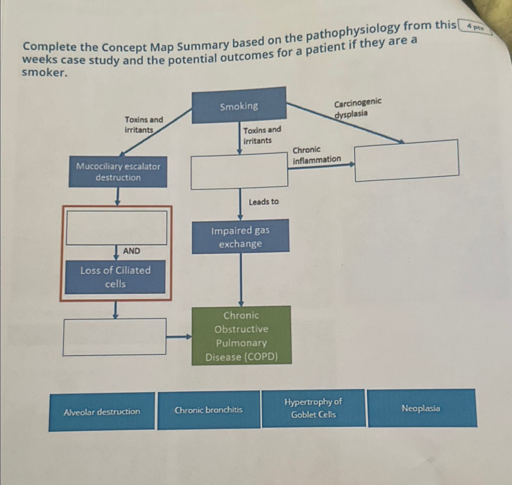Solved Complete the Concept Map Summary based on the | Chegg.com