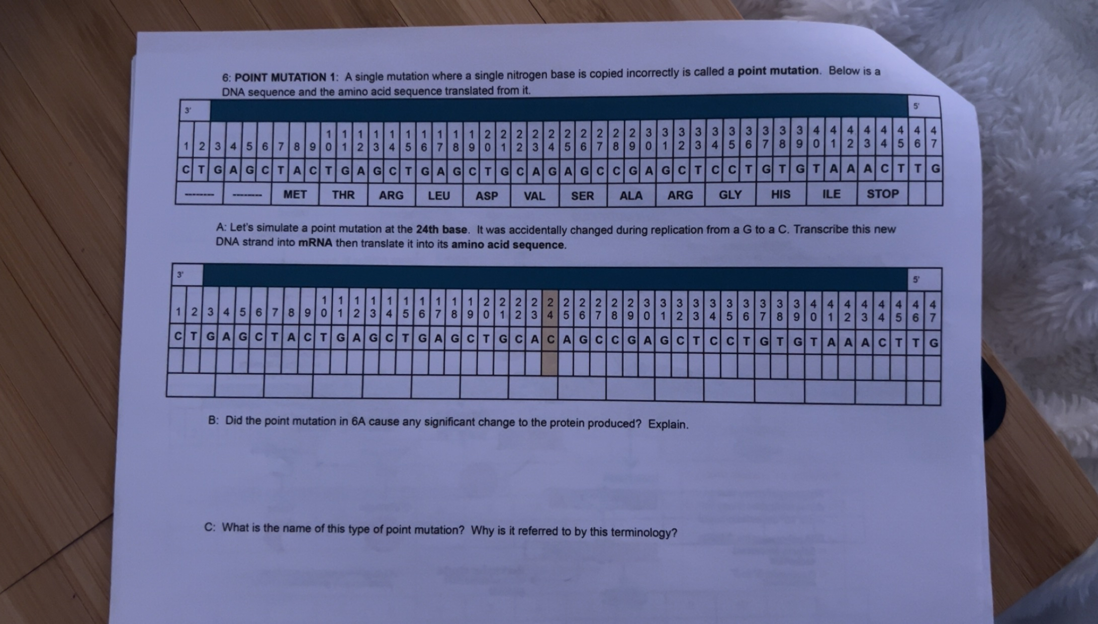 Solved 6: POINT MUTATION 1: A single mutation where a single | Chegg.com