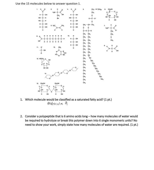 Solved Use the 15 molecules below to answer question 1 . 1. | Chegg.com