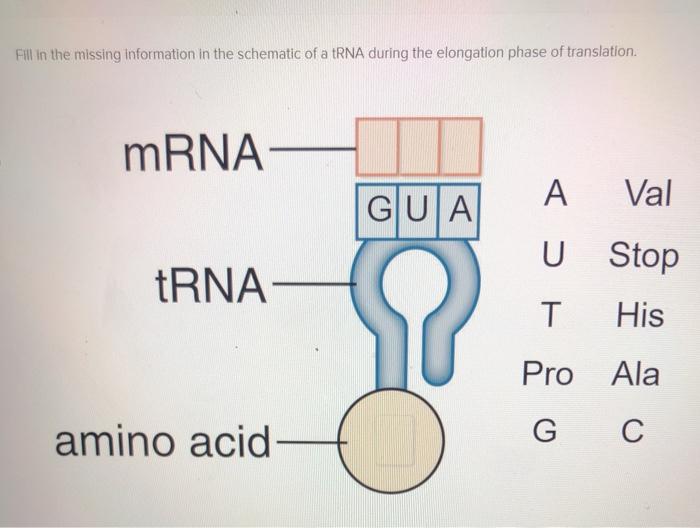 Solved Fill in the missing information in the schematic of a | Chegg.com