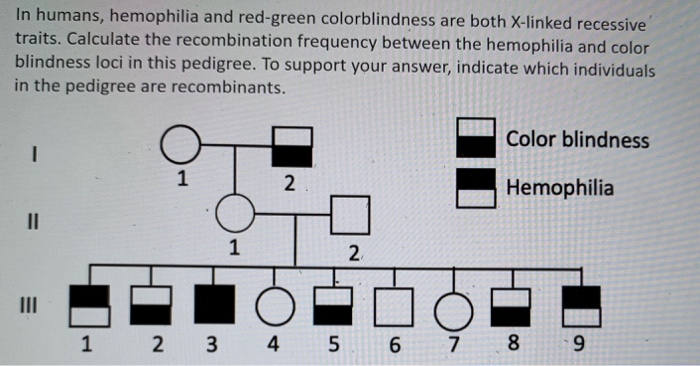 Solved In humans, hemophilia and red-green colorblindness | Chegg.com