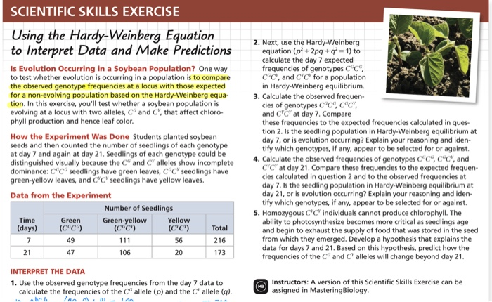 Solved SCIENTIFIC SKILLS EXERCISE Using the Hardy-Weinberg | Chegg.com