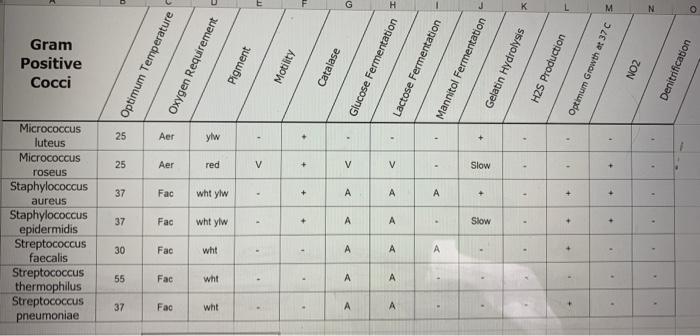 Solved please help me to make a flow chart for gram(+) cocci | Chegg.com