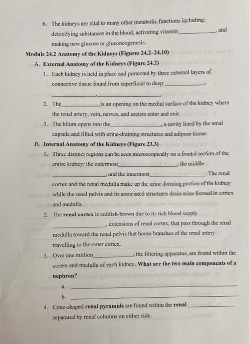 Solved Module 24.1 Overview of the Urinary System (Figure | Chegg.com