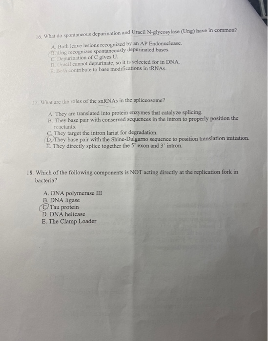 Solved 16. What do spontaneous depurination and Uracil | Chegg.com